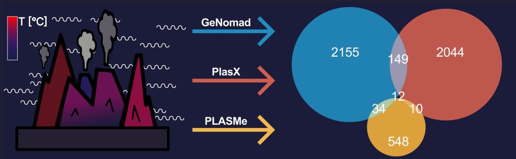 Novel plasmids from deep sea - Instytut Mikrobiologii Wydziału Biologii UW